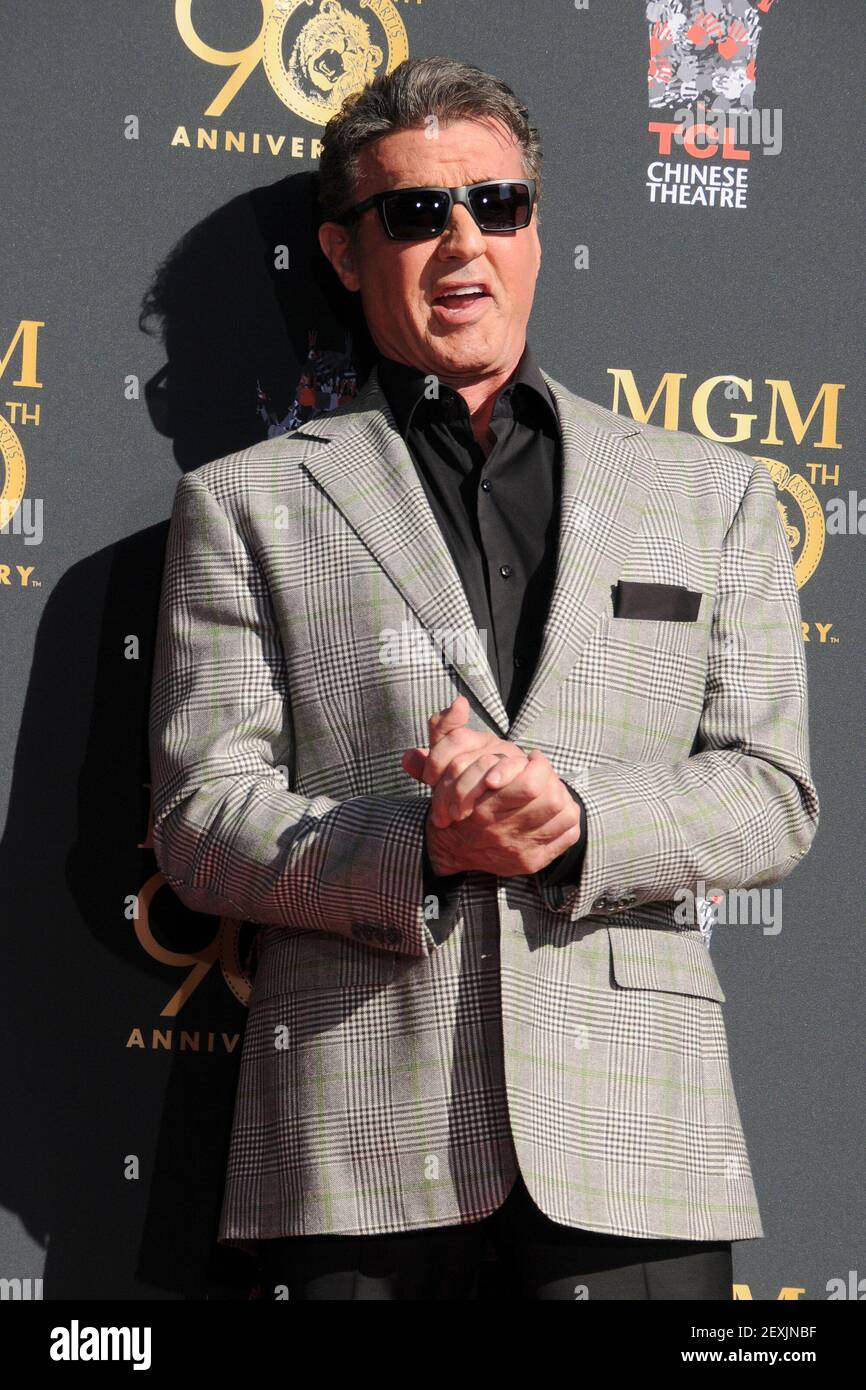 22 January 2014 - Hollywood, California - Sylvester Stallone. Metro ...
