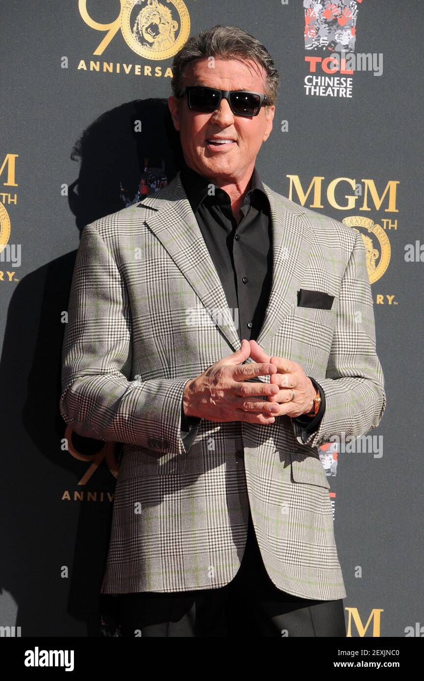 22 January 2014 - Hollywood, California - Sylvester Stallone. Metro ...