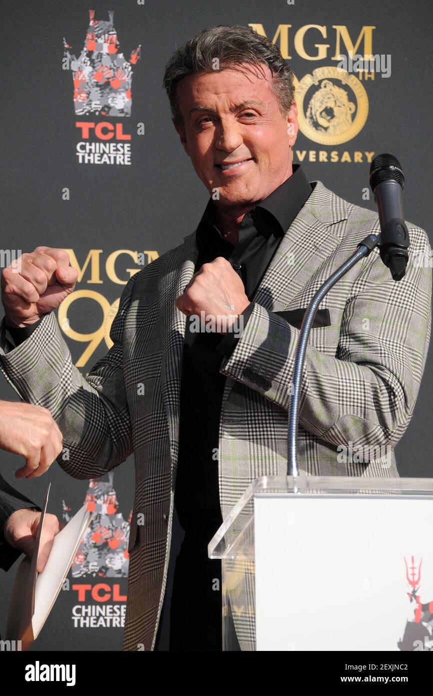 22 January 2014 - Hollywood, California - Sylvester Stallone. Metro ...