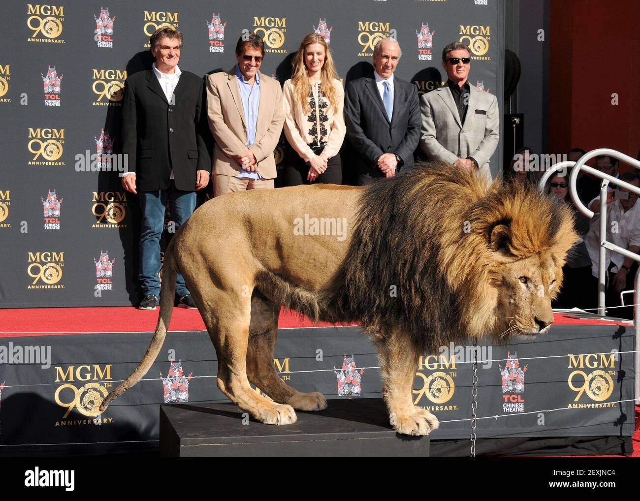 22 January 2014 - Hollywood, California - Alwyn Hight Kushner, Gary ...