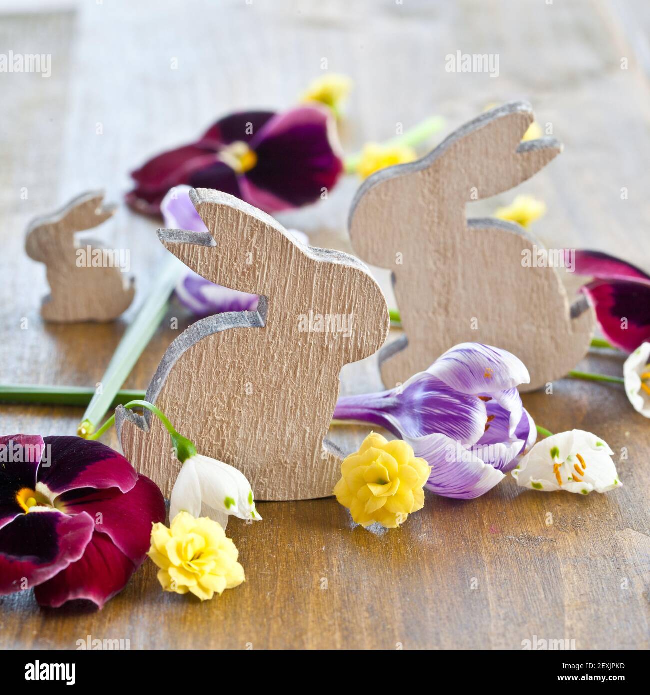 Spring flowers and easter bunnies Stock Photo - Alamy