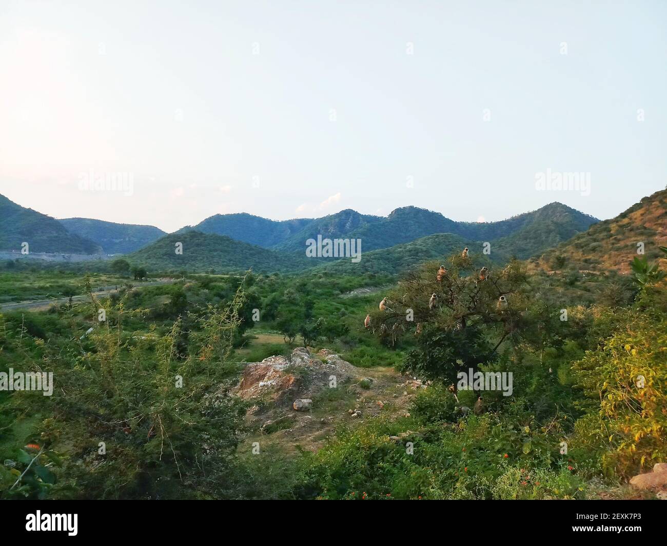 A scenic view of a landscape with green hills on a sunny day Stock ...