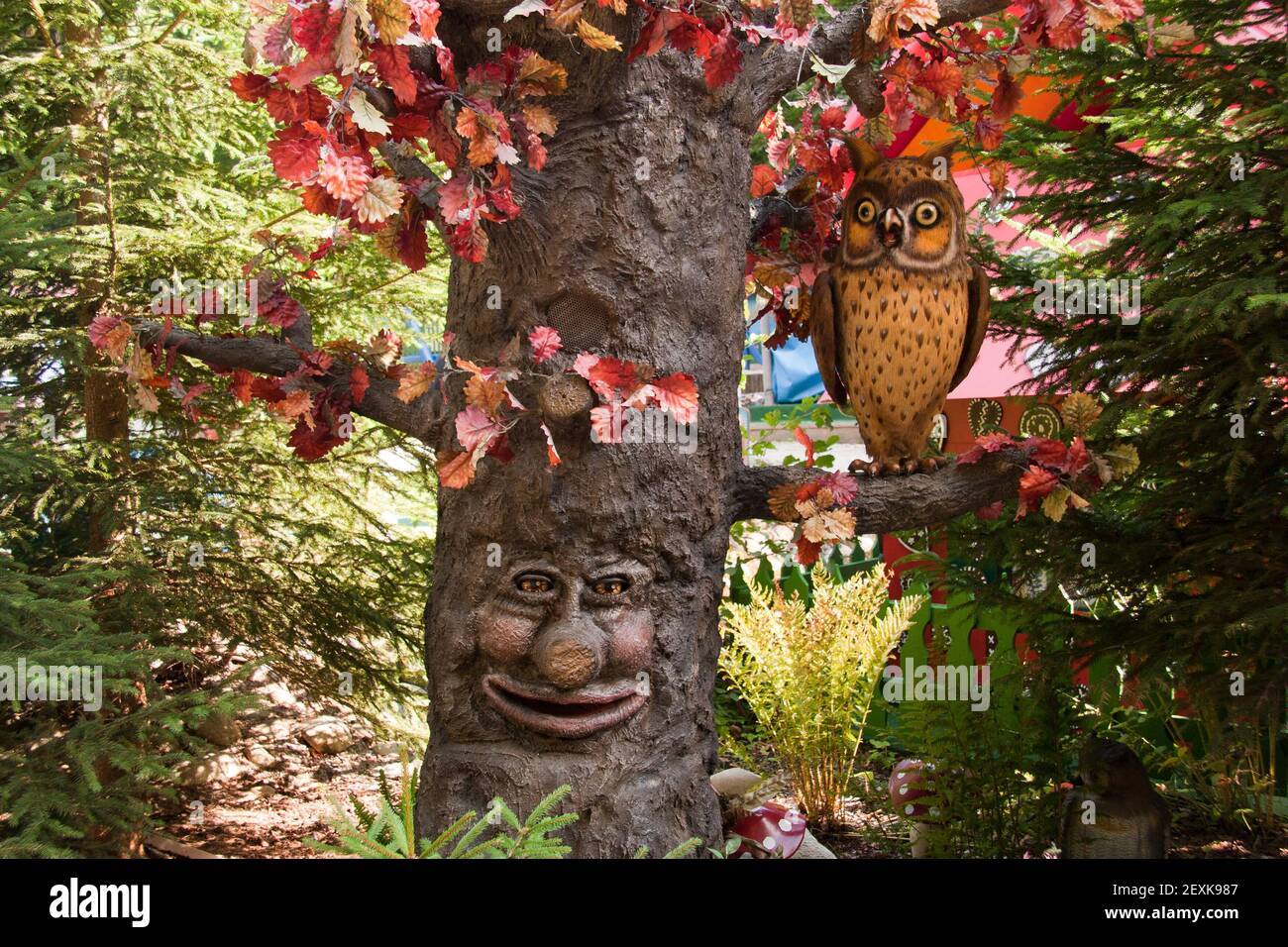 Dream magic tree Stock Photo - Alamy