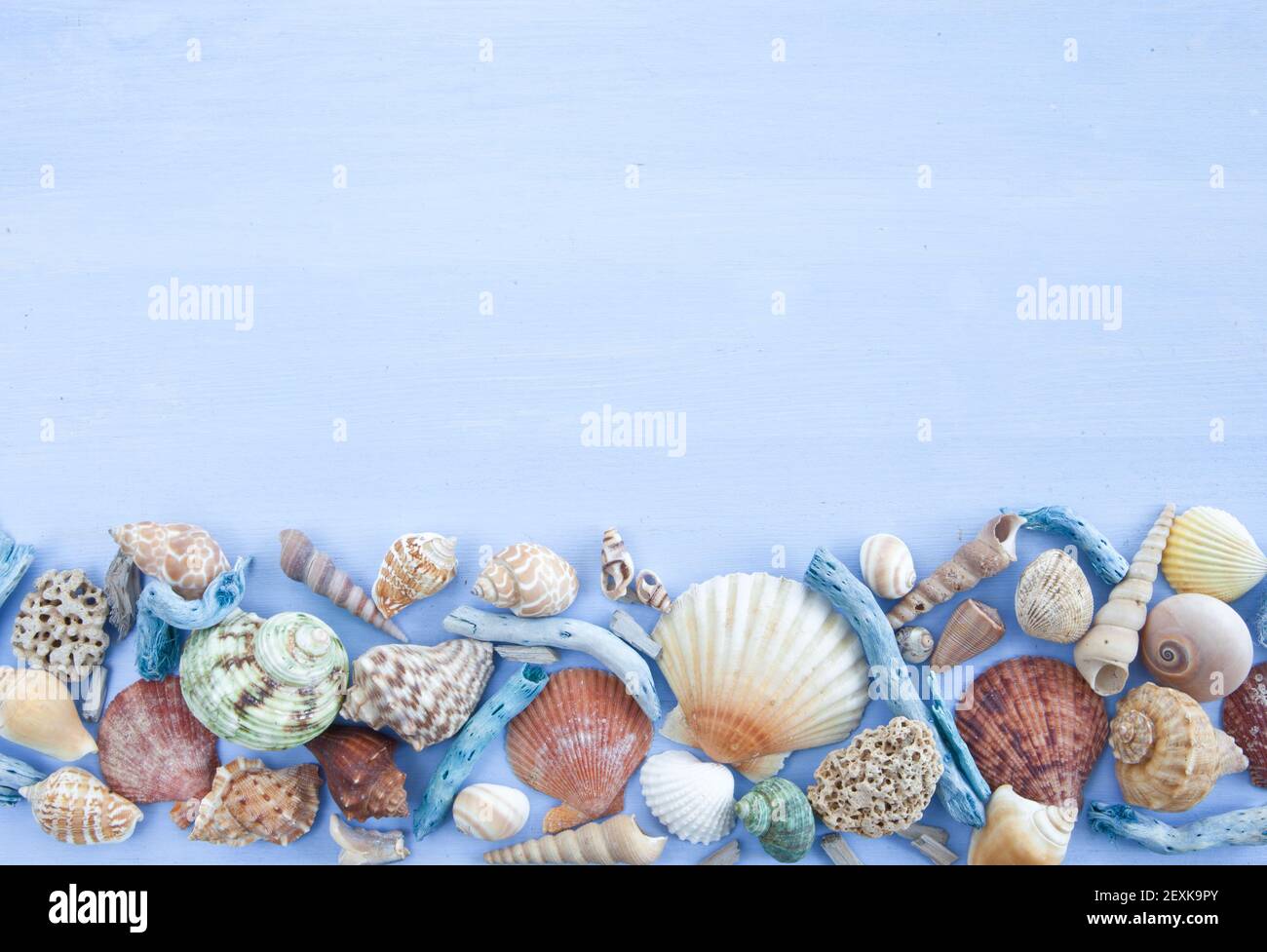 Blue background with flotsam and shells Stock Photo - Alamy