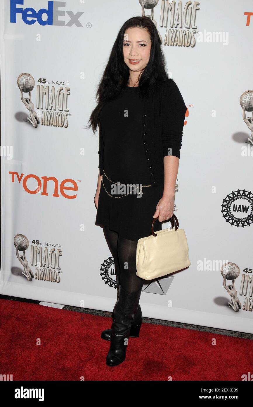 8 February 2014 - Hollywood, California - Nina Tang Bongiovi. 45th ...