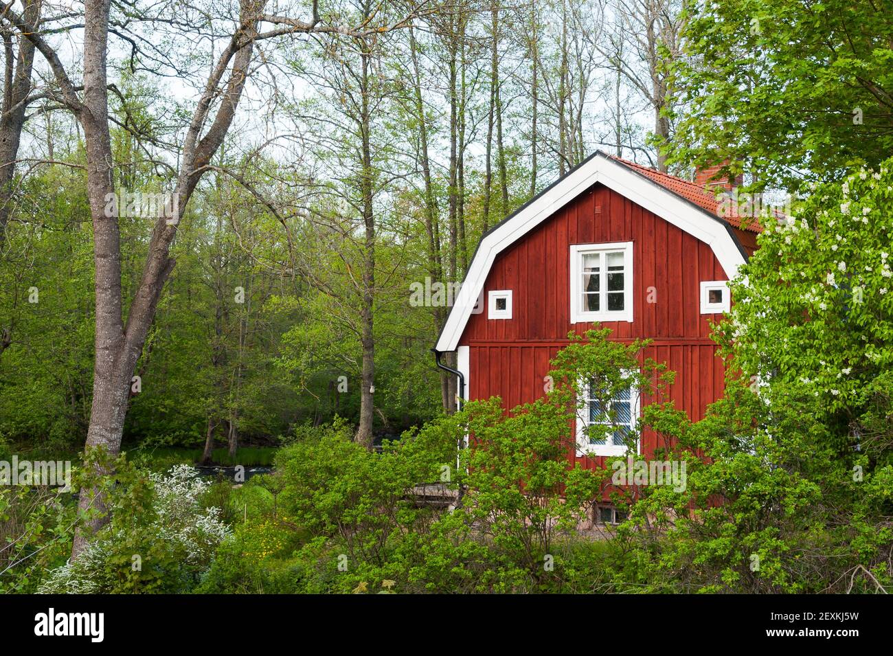 Red wooden house in Sweden Stock Photo - Alamy