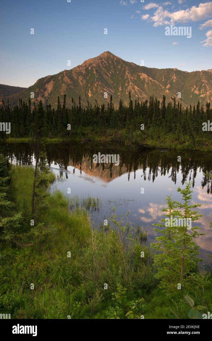 Alaska Territory Mountain Lake Marsh Vertical Banner Blue SKy Stock ...