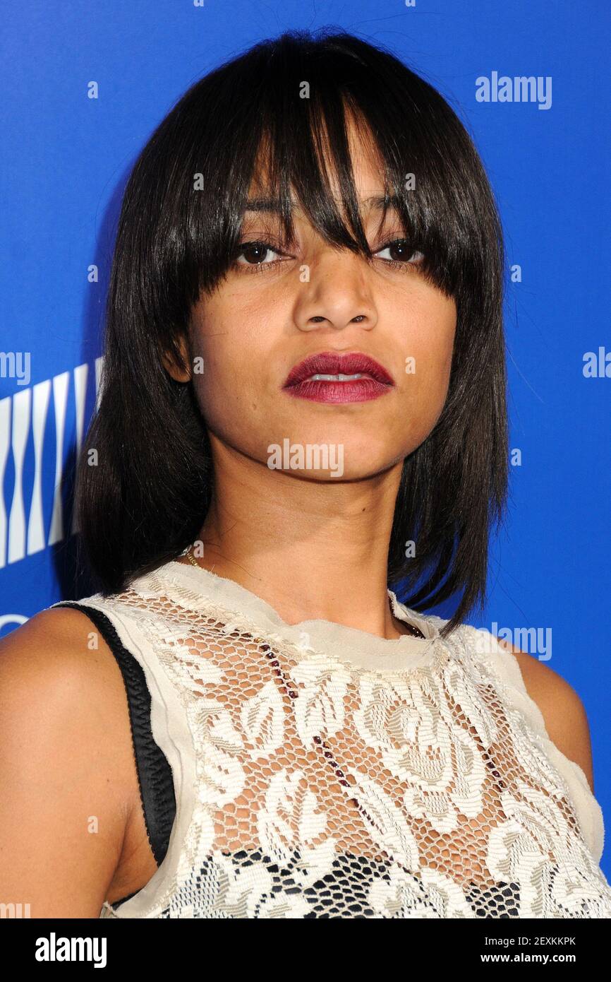 11 February 2014 - Hollywood, California - Alice Smith. The Pan African ...