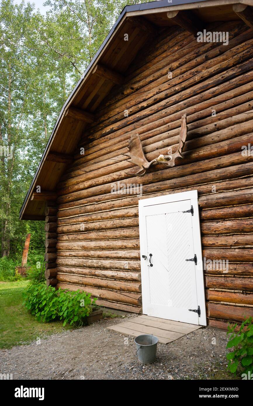 Rustic Log Out Building Moose Antler Rack Alaska Outback Stock Photo ...