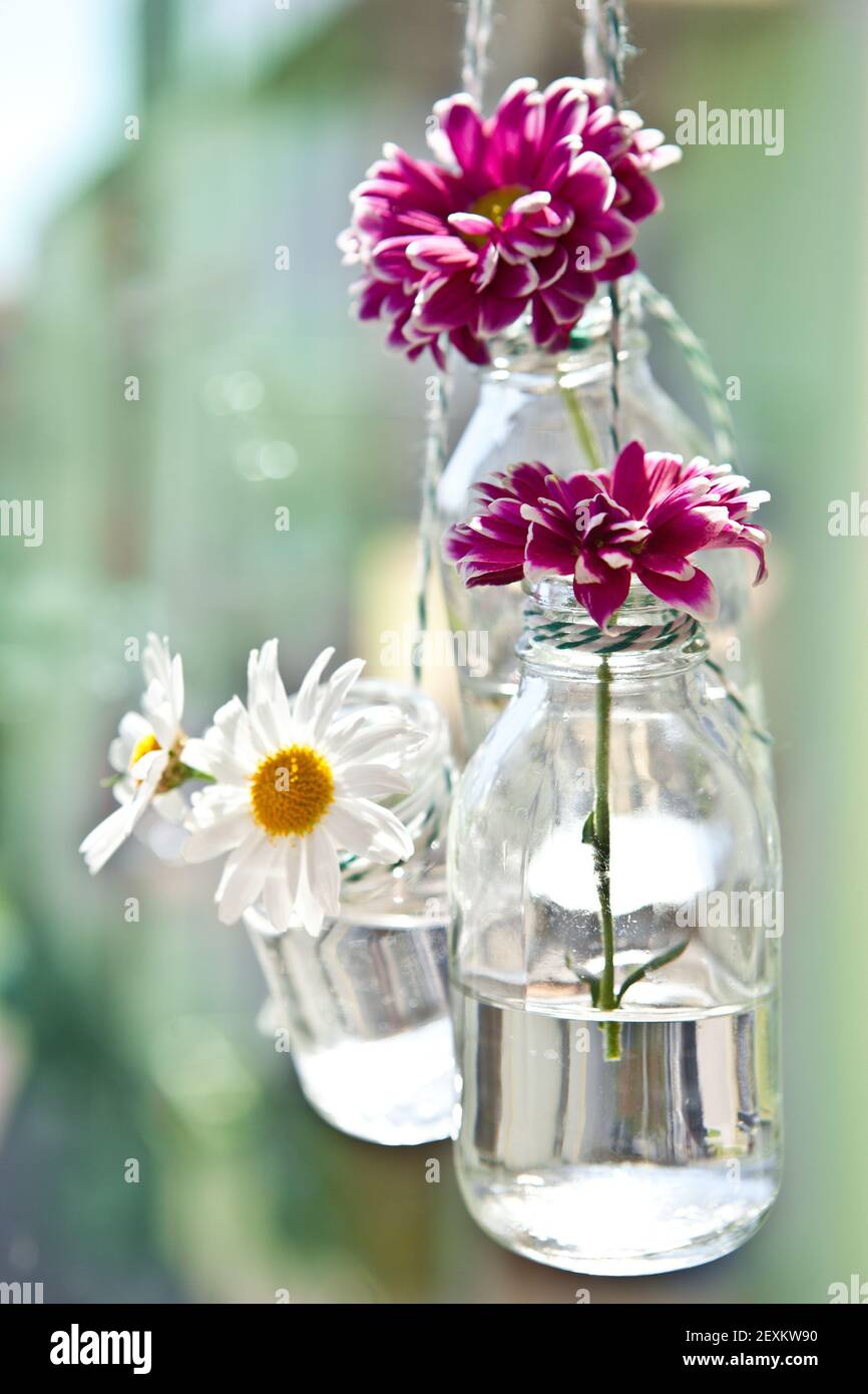 Small hanging hi-res stock photography and images - Alamy