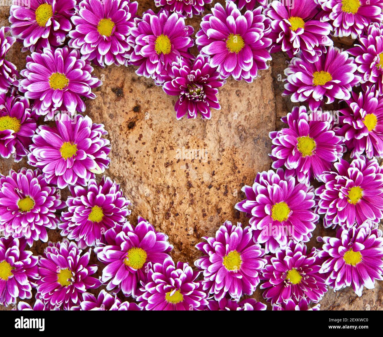 Fresh flowers on wooden bark Stock Photo - Alamy