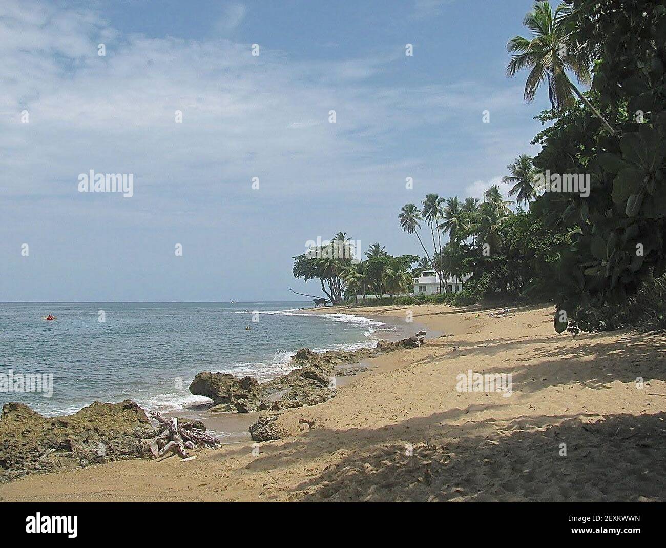 Located on the west coast of Puerto Rico, Rincon is a popular ...