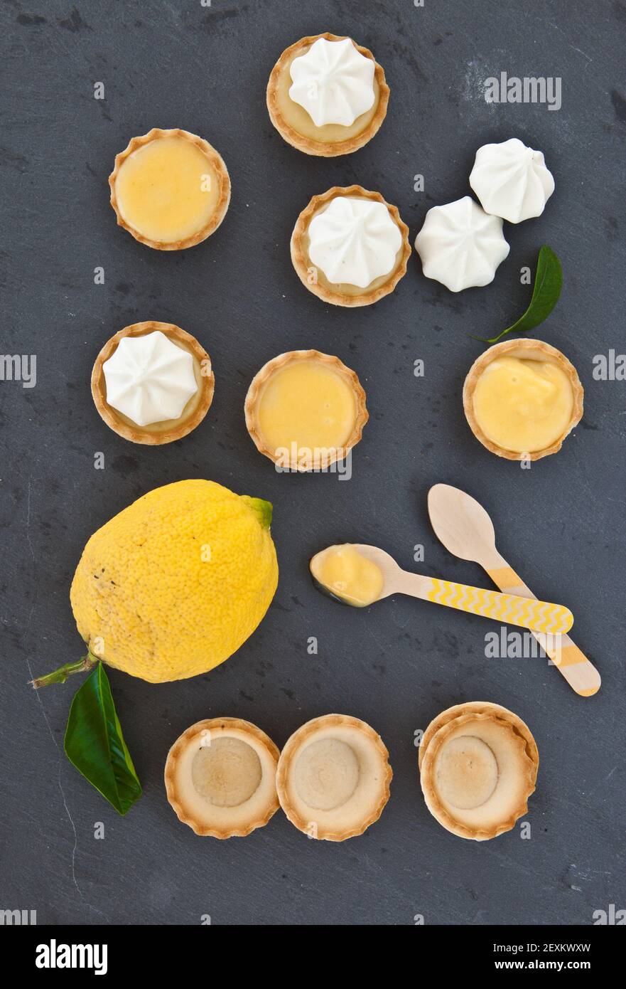 Tortelet hi-res stock photography and images - Alamy