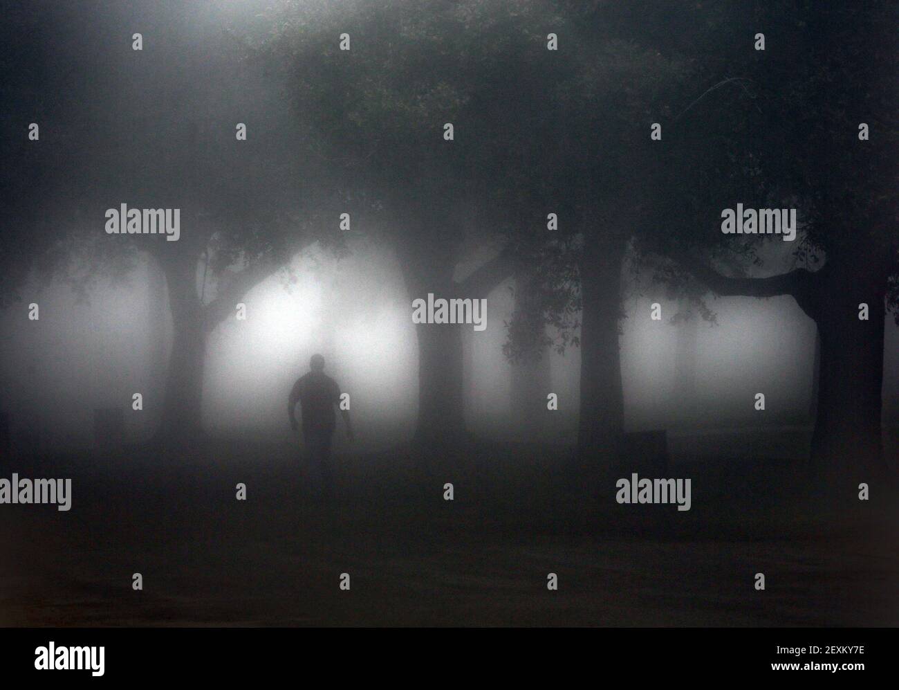 Fog from the Mississippi river rolls onto the levee at the Fly in ...