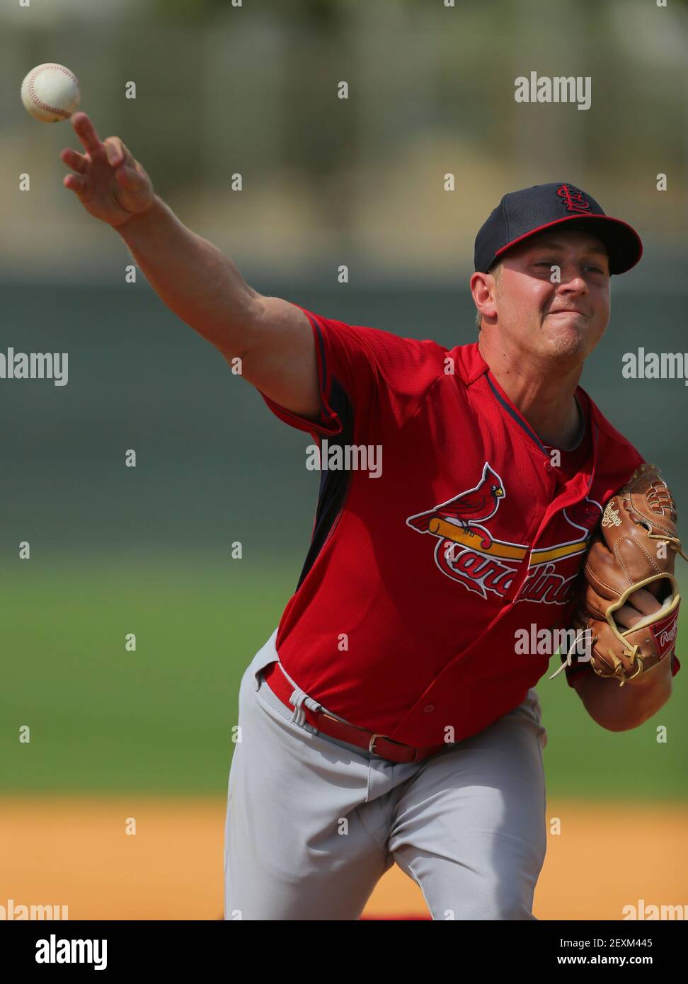 St. Louis Cardinals pitcher Seth Maness throws live batting practice at ...