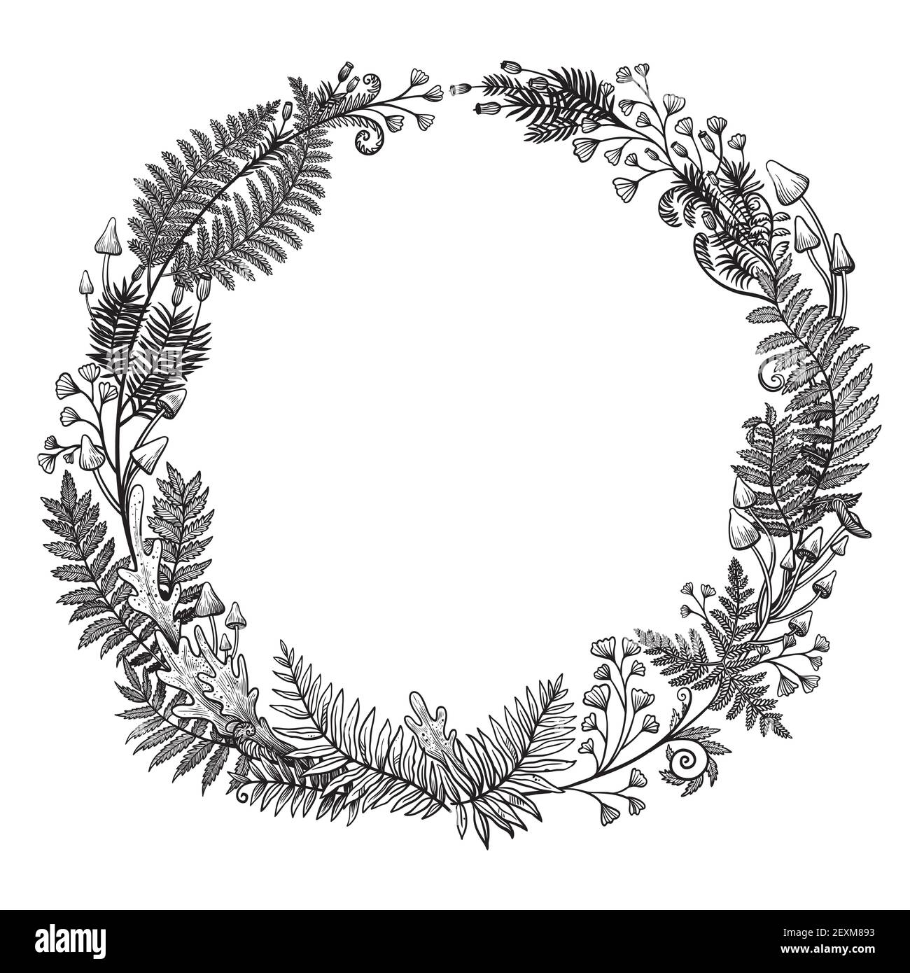 Round frame in ink hand drawn style with plant forest elements ...