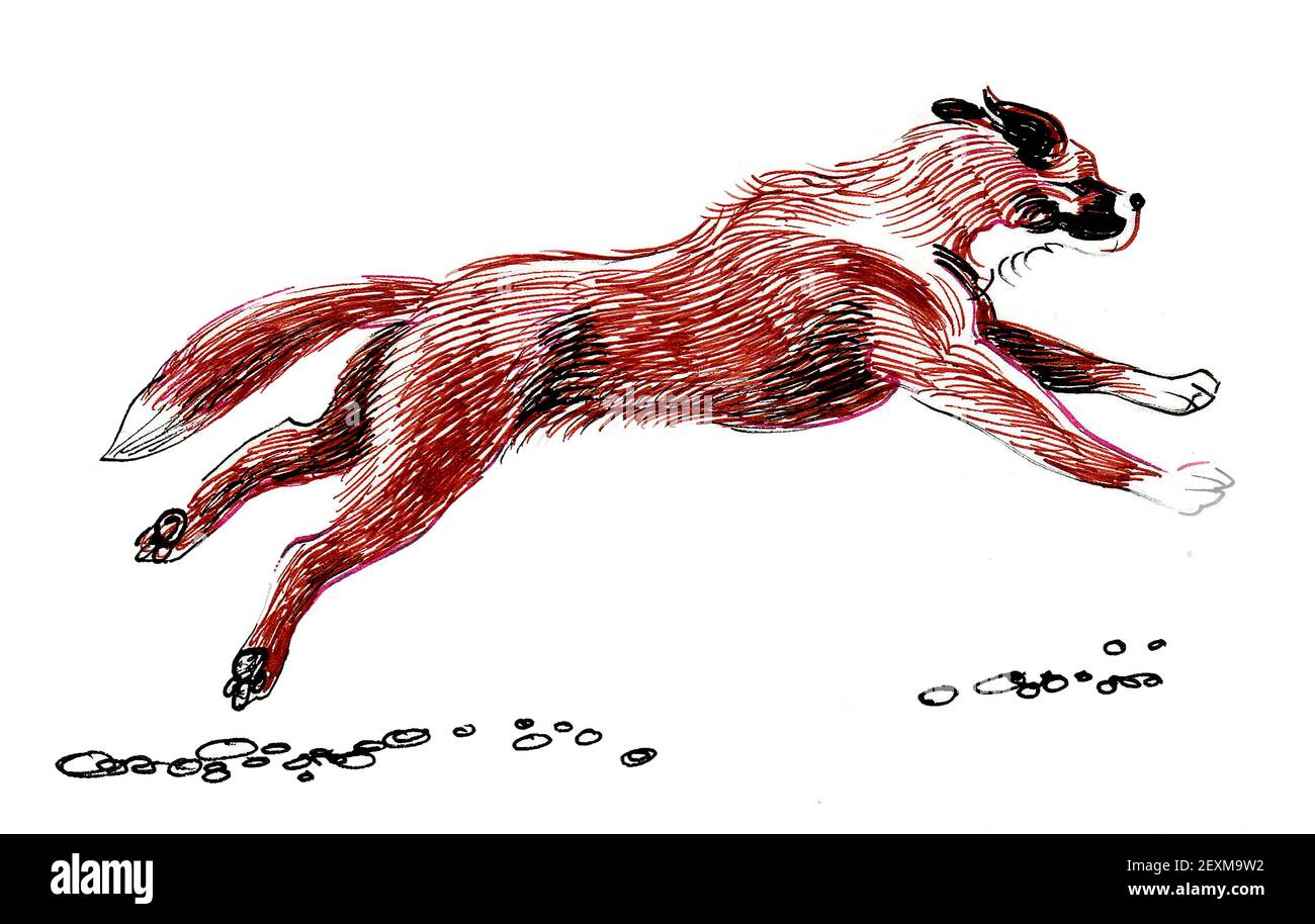 Dog ink drawing hi-res stock photography and images - Alamy