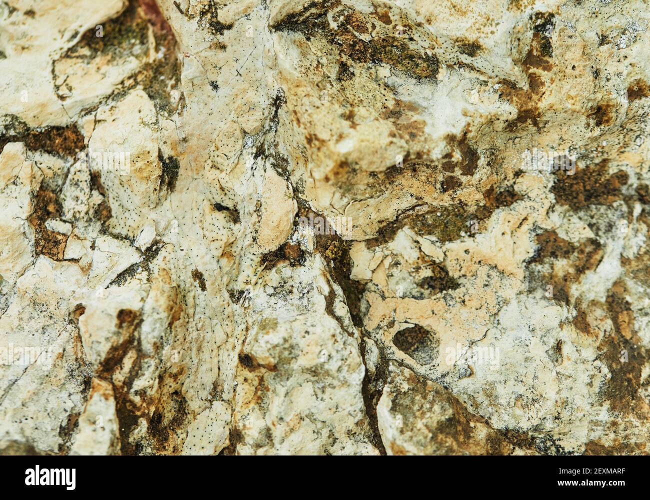 Natural stone texture and surface background in high resolution Stock ...