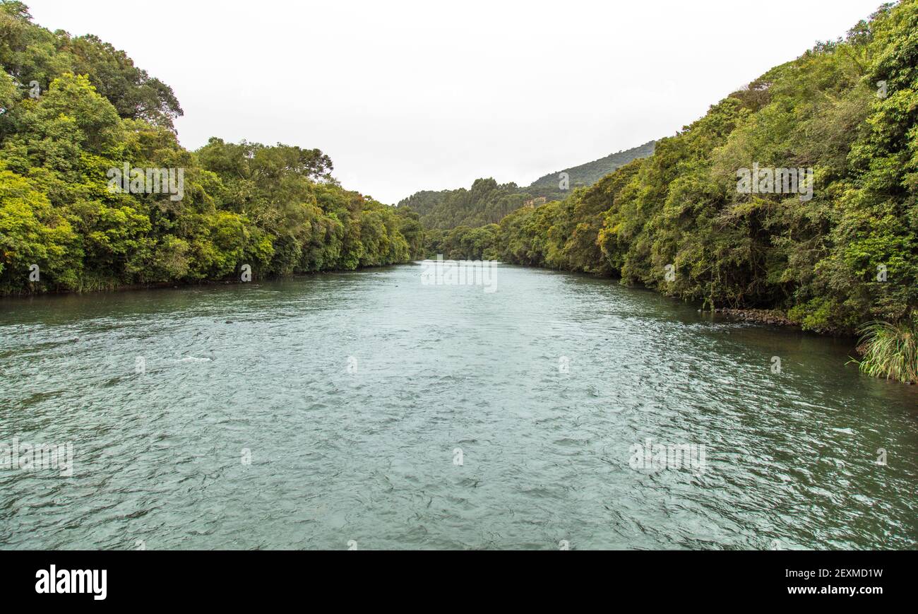 A beautiful view of a wide river with trees alongside in Southern ...