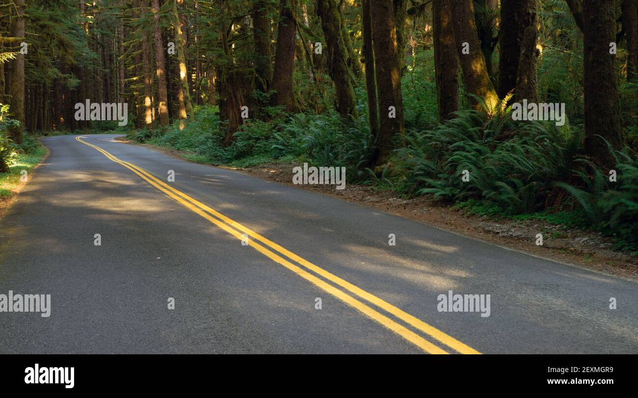 Highway through rainforest hi-res stock photography and images - Alamy