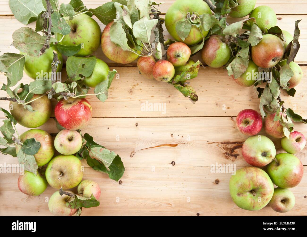 Various organic apple varieties Stock Photo - Alamy