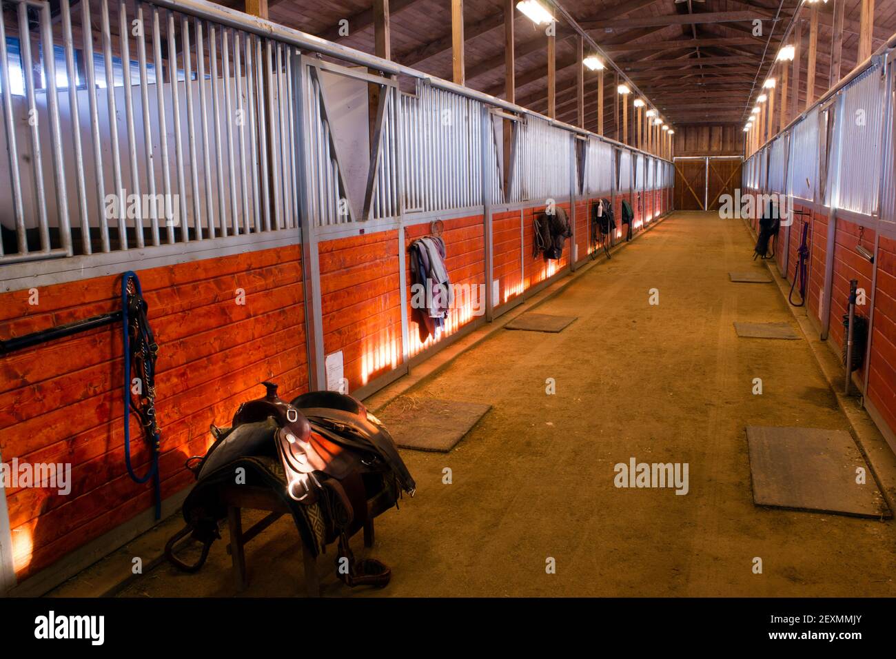 Saddle Center Path Horse Paddack Equestrian Stable Stock Photo - Alamy