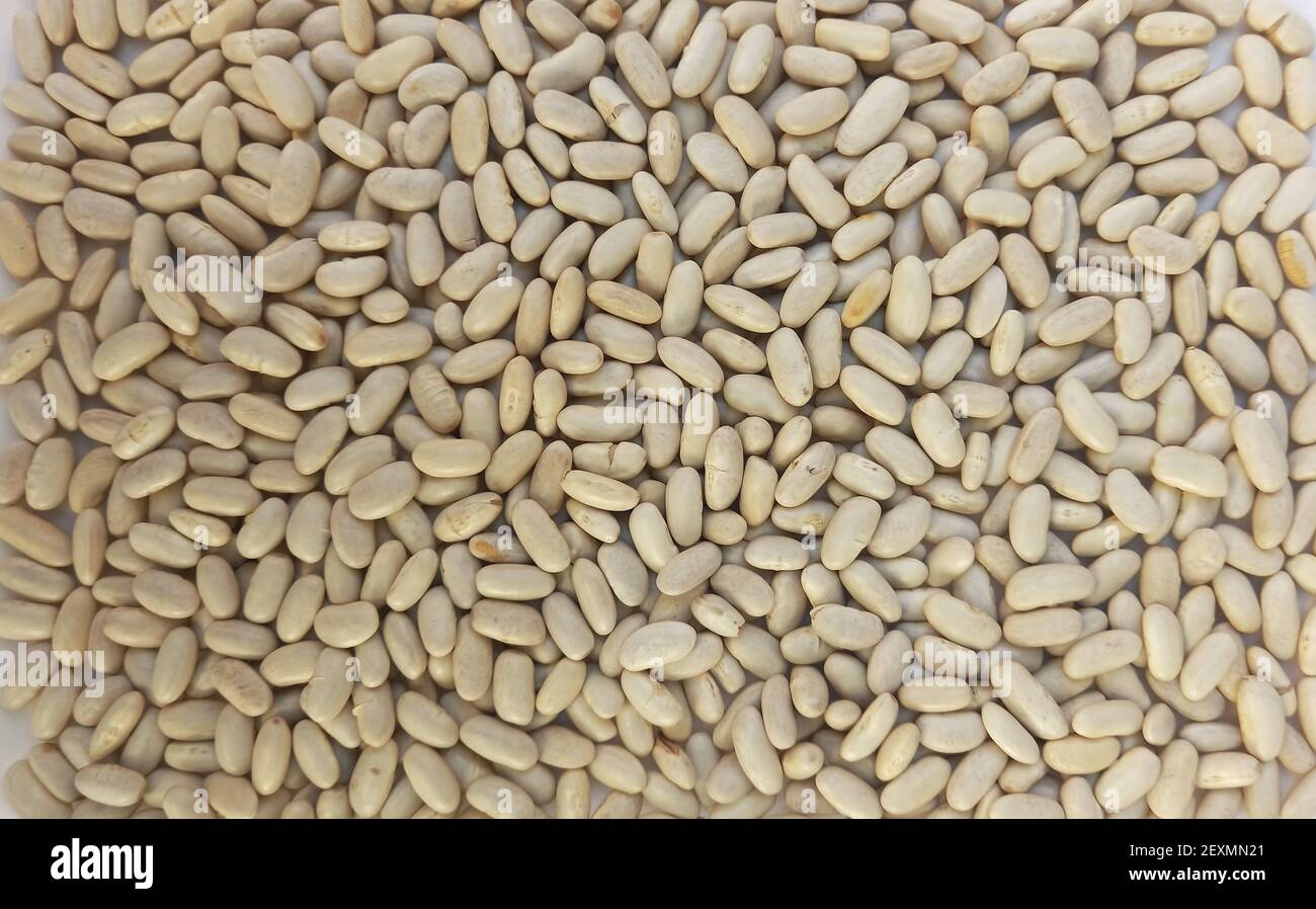 A background of white alubia beans. Source of protein and fiber ...