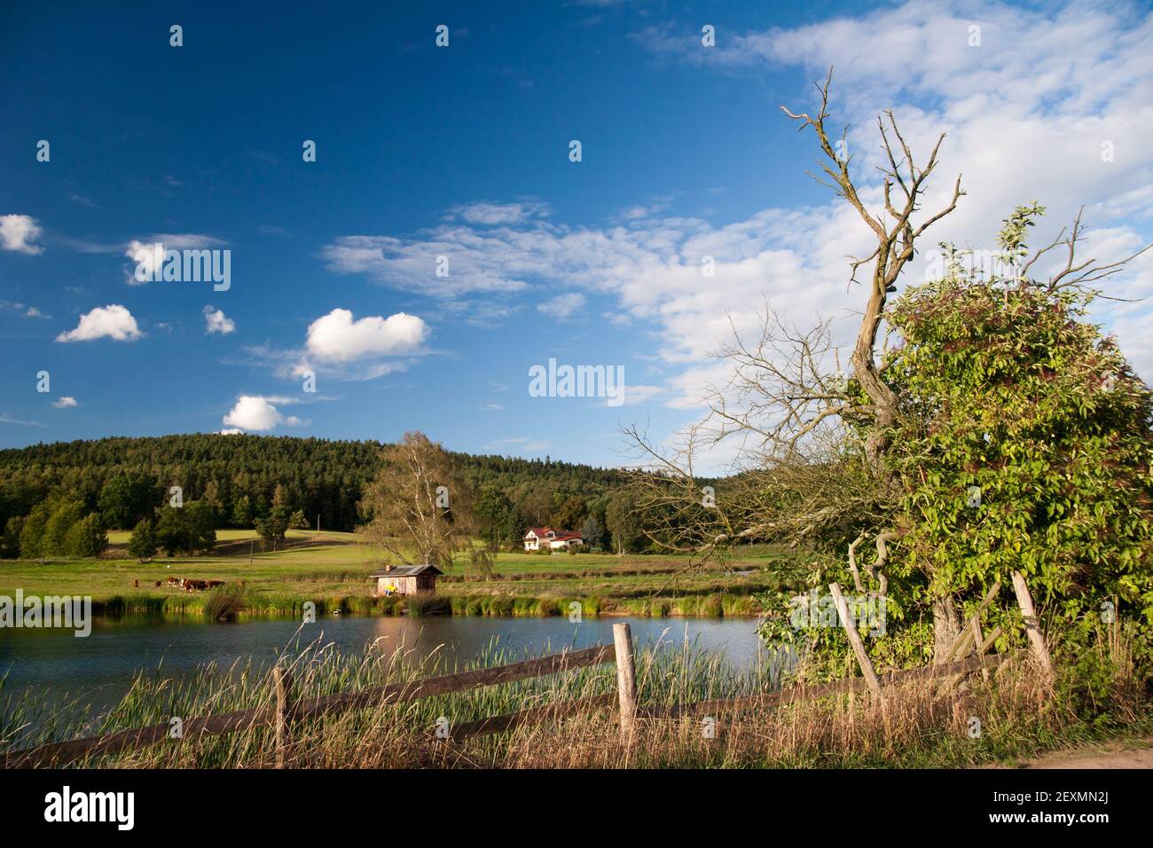 Clouded water hi-res stock photography and images - Alamy
