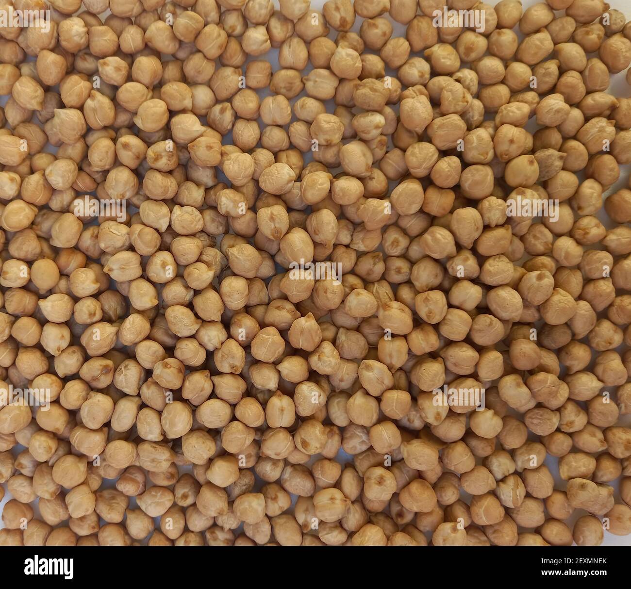 A background of healthy chickpeas (Cicer arietinum) a legume source of ...