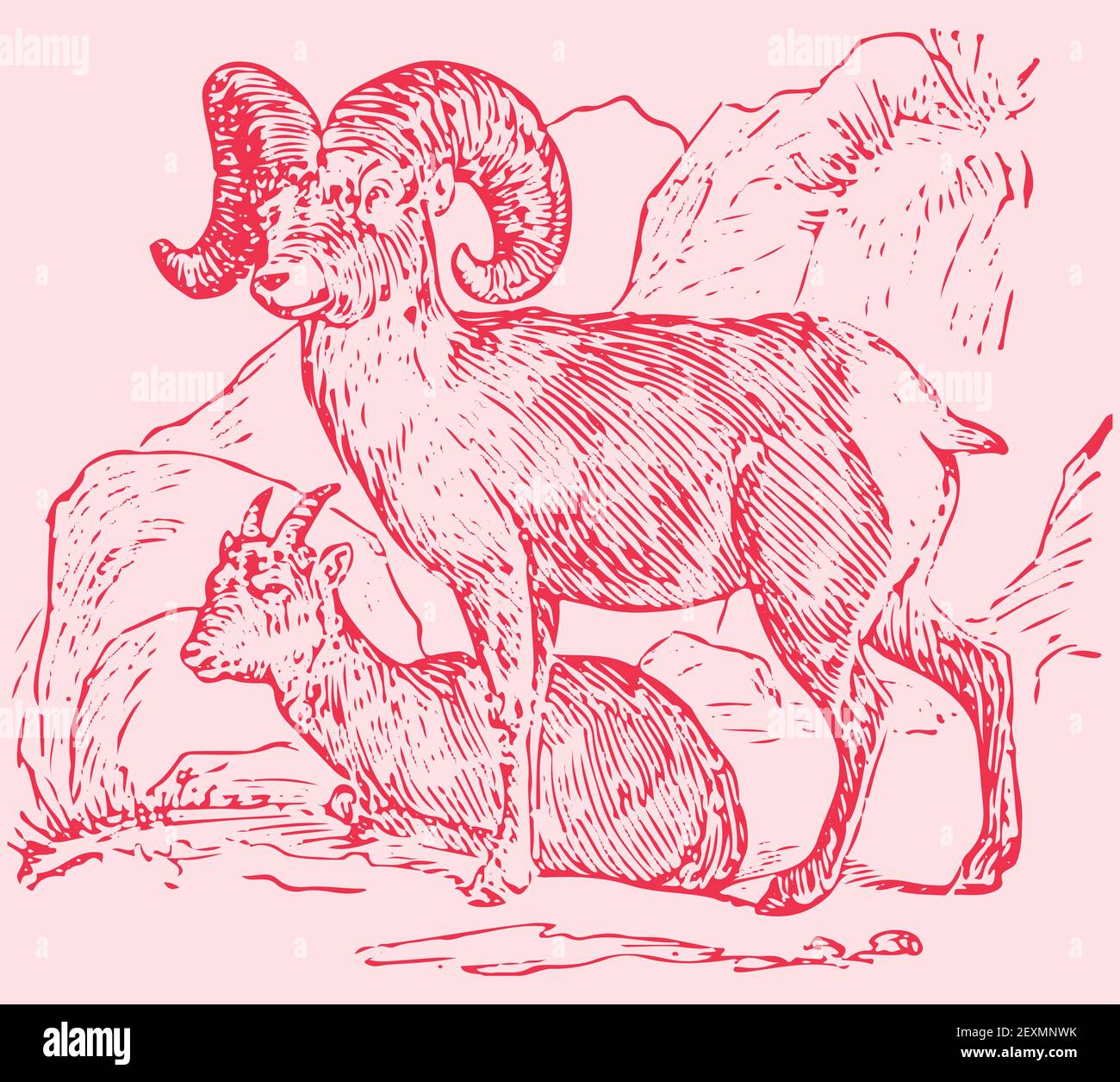 An illustration of a pink outline of goats on the mountains with big ...