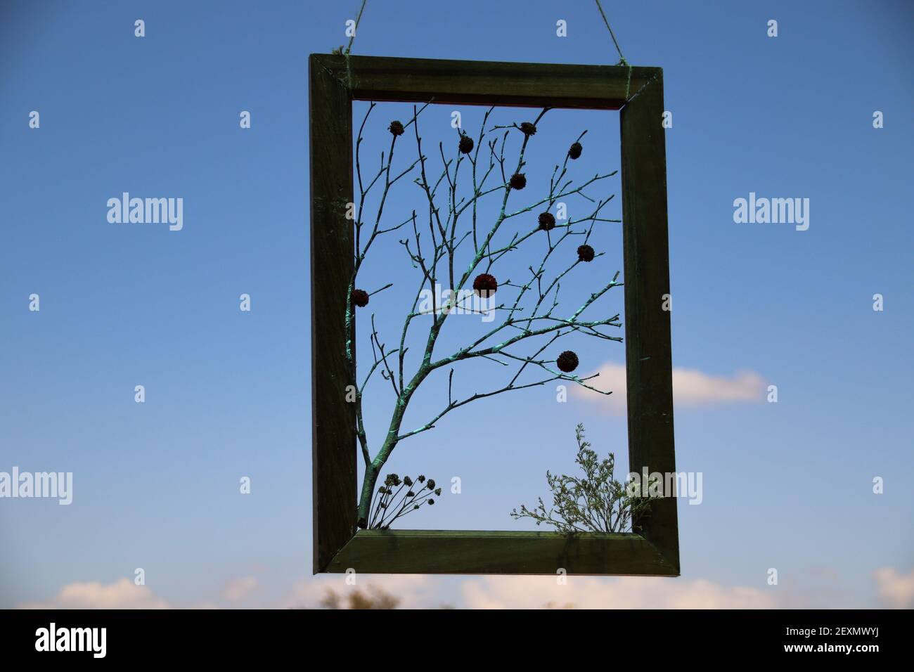 Inside a frame hi-res stock photography and images - Alamy