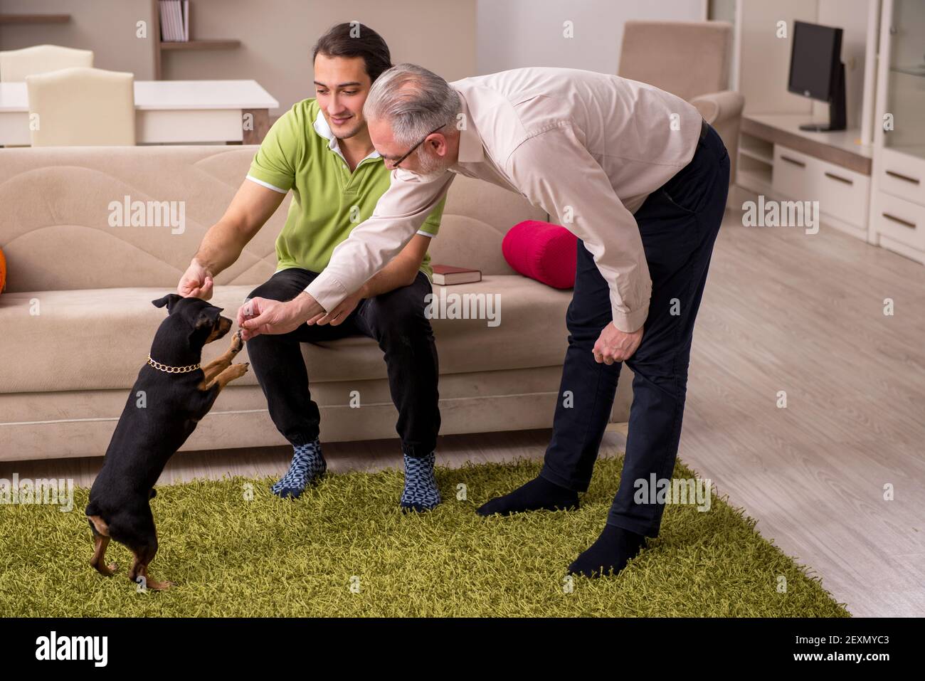 Two men with dog in the room Stock Photo - Alamy