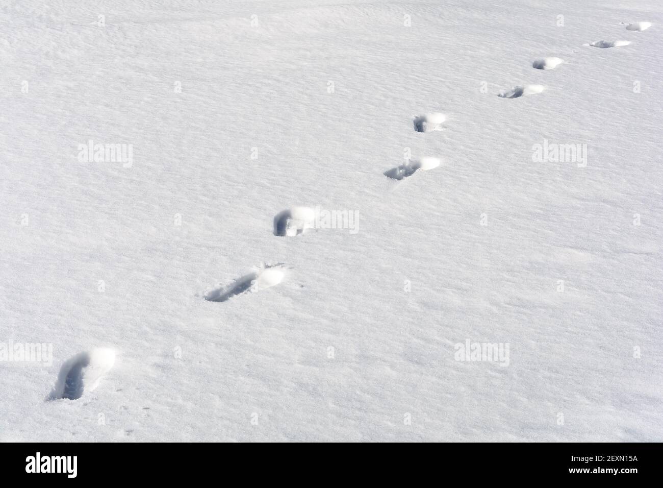 Snow boots tracks surface hi-res stock photography and images - Alamy