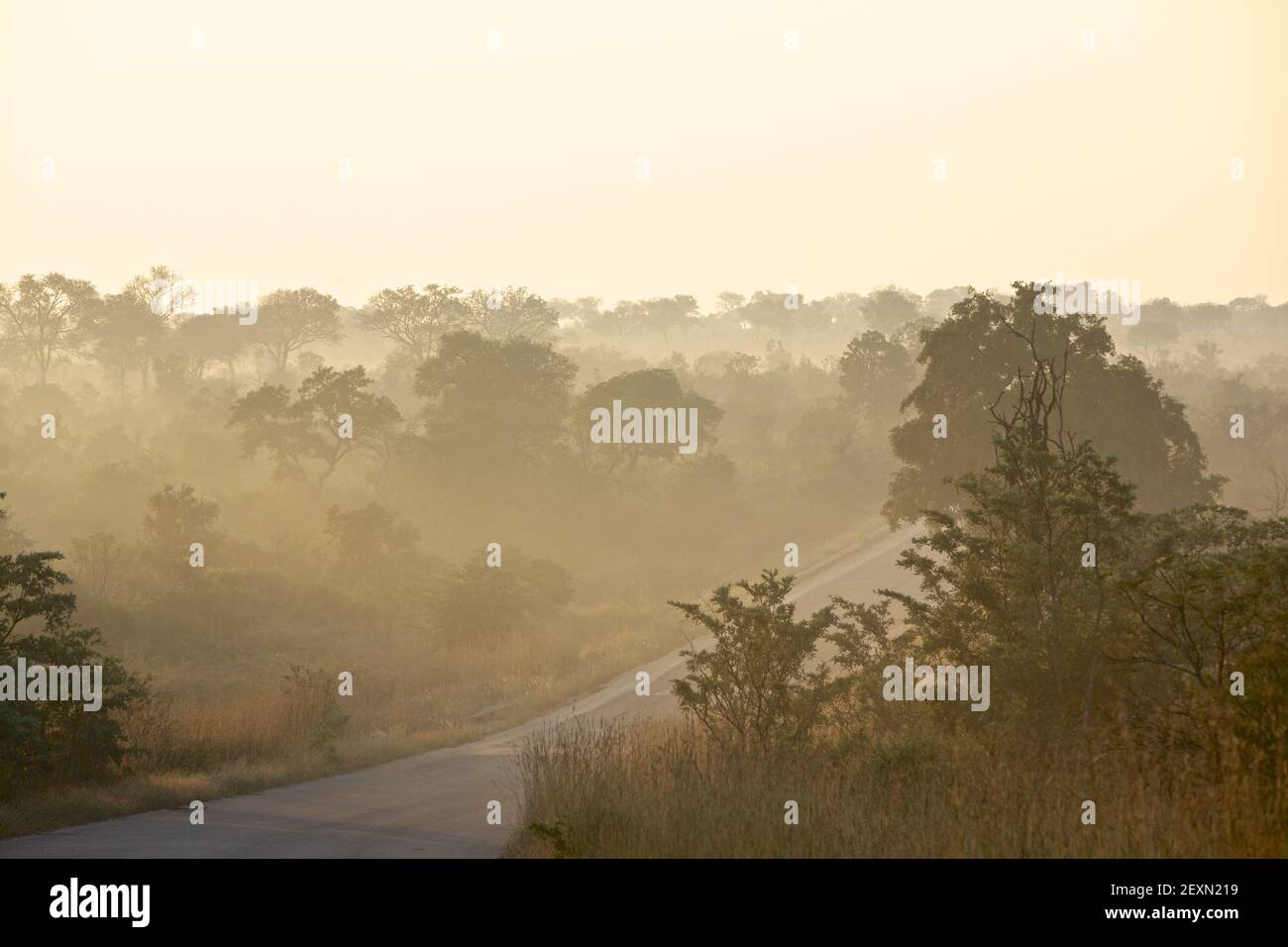 Misty road hi-res stock photography and images - Alamy
