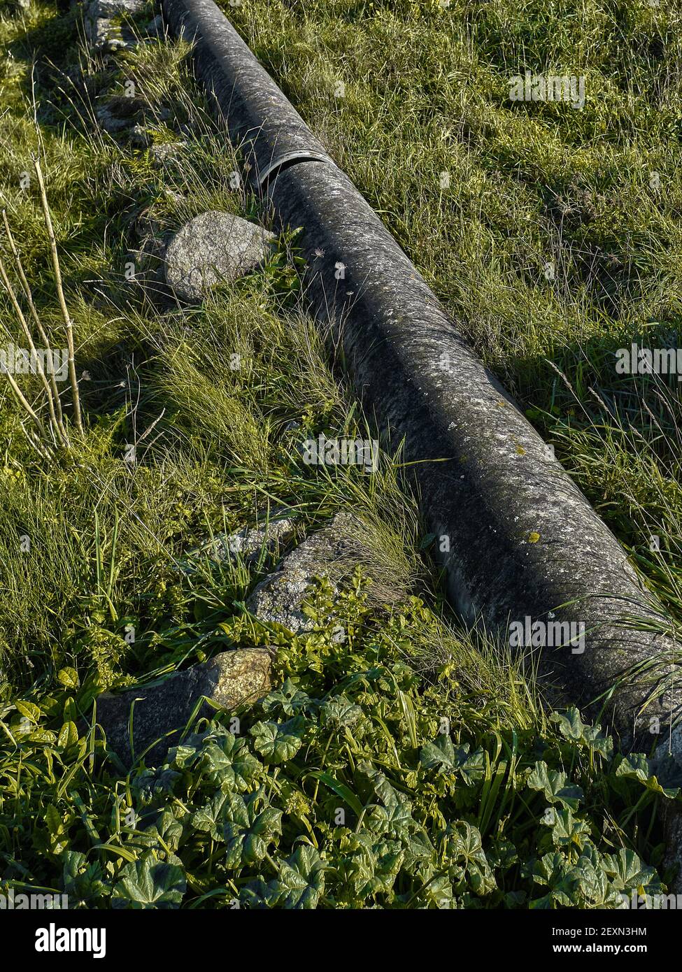A top view of a pipe in nature with stones alongside Stock Photo - Alamy