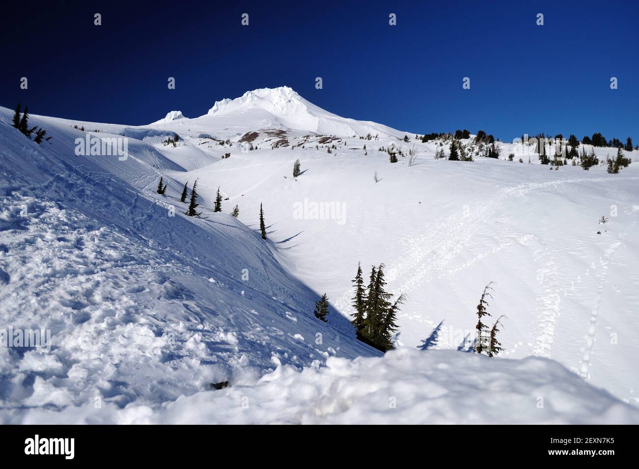 A view of Mount Hood, Oregon's highest peak at 11,250 feet, viewed from ...