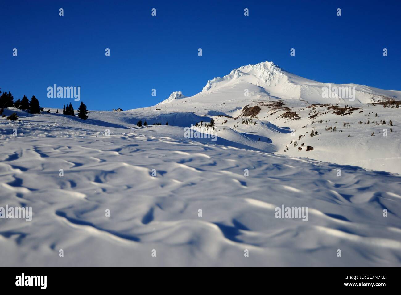 A view of Mount Hood, Oregon's highest peak at 11,250 feet, viewed from ...