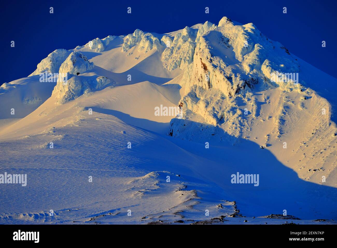 Mount Hood Palmer Glacier