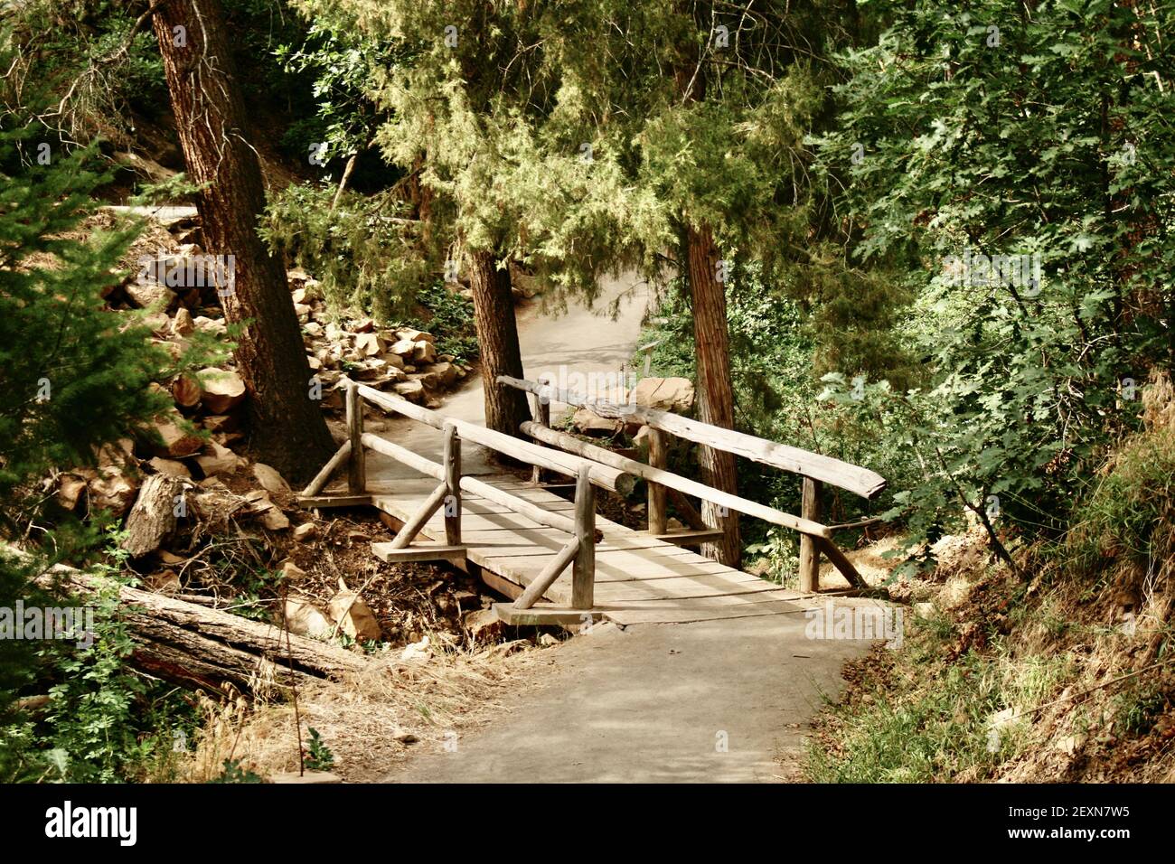 A small bridge in a green forest on Stock Photo - Alamy