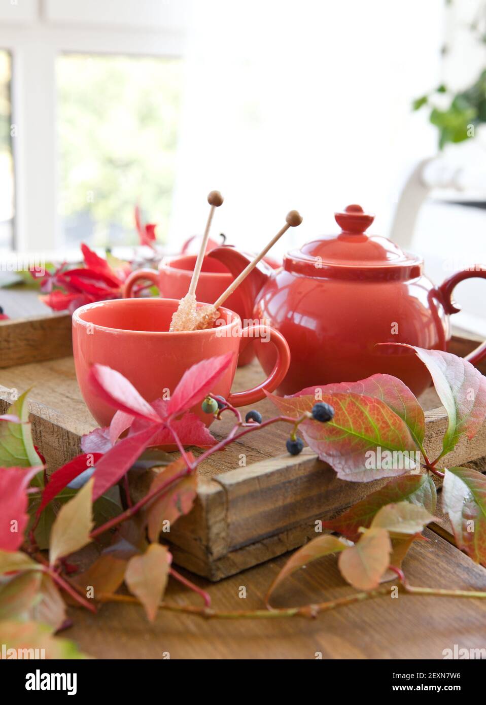 Tea for two Stock Photo - Alamy