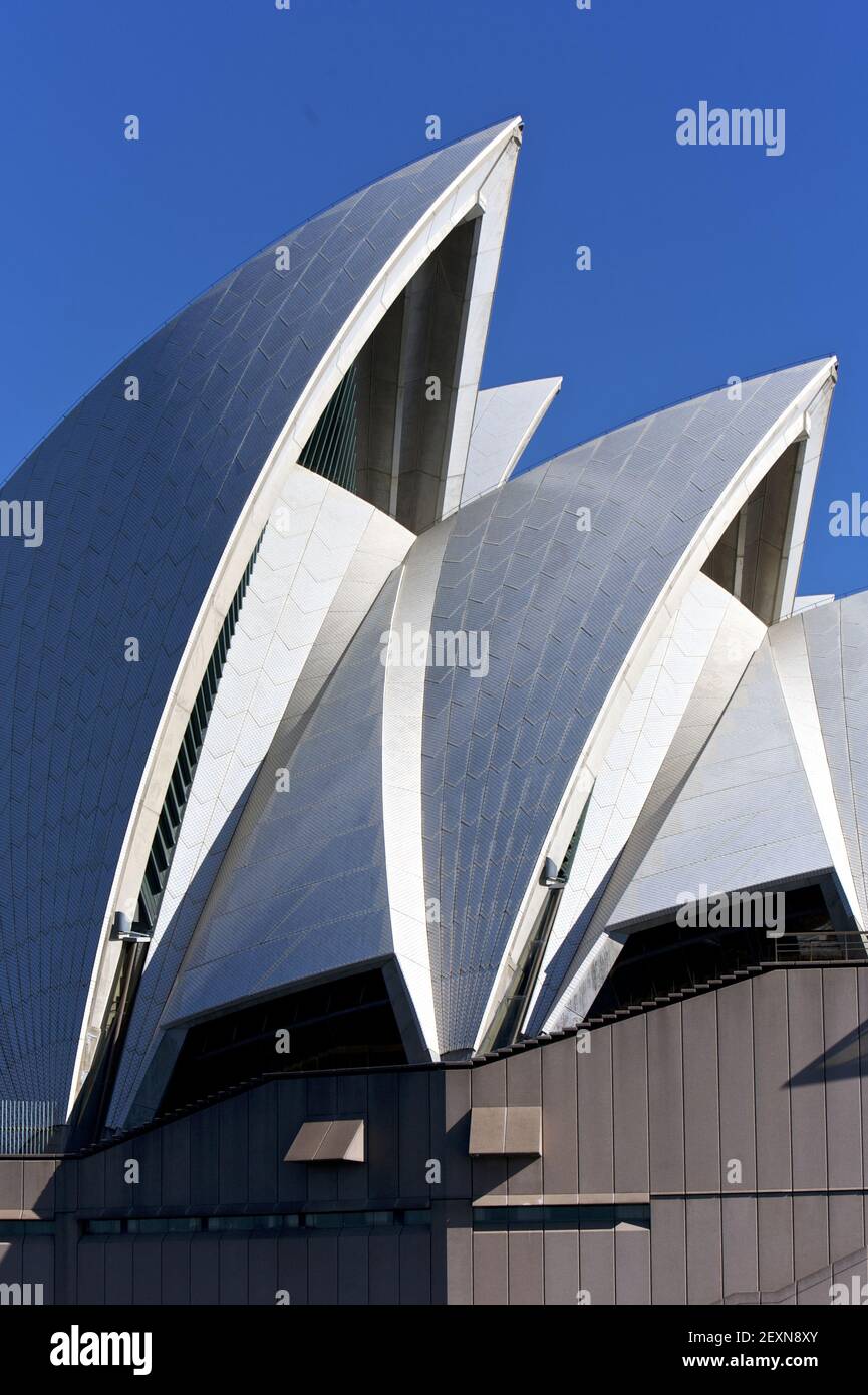 Sydney opera house tiles hi-res stock photography and images - Alamy