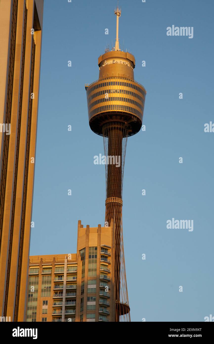 Sydney AMP Tower in the City Stock Photo - Alamy