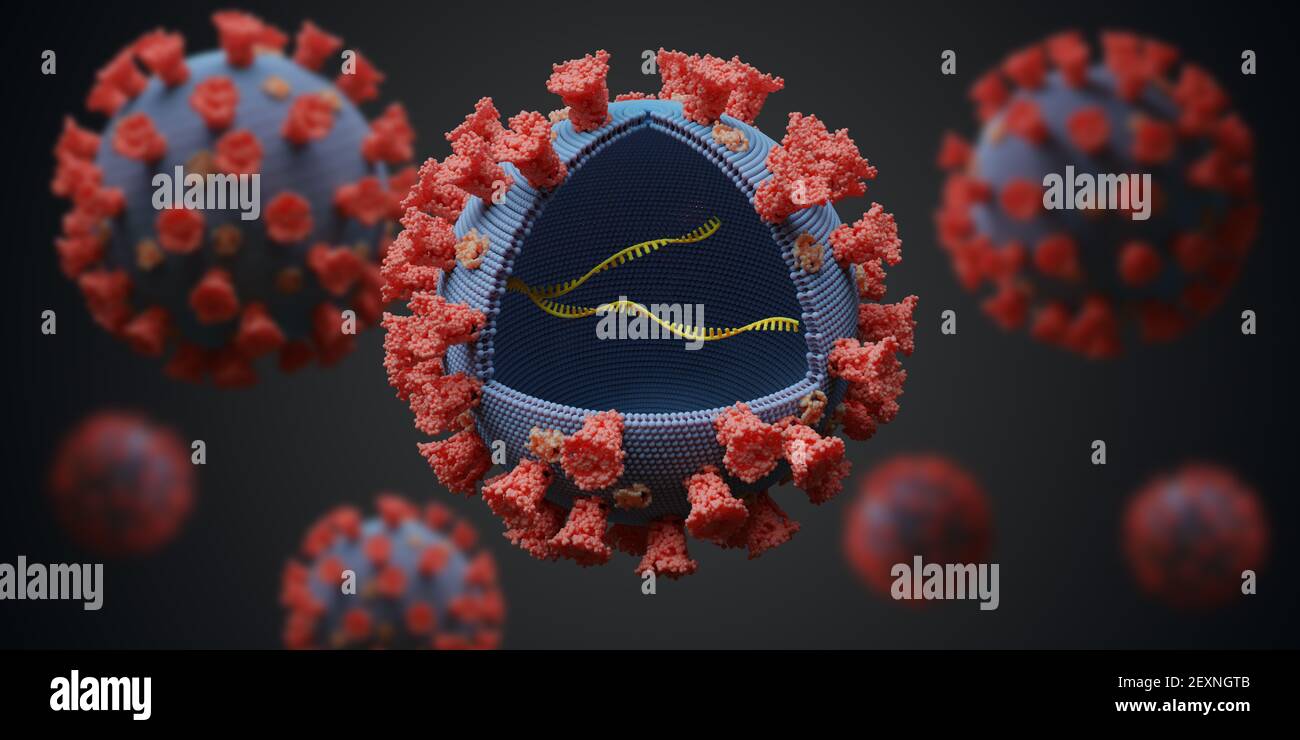 Virus with RNA molecule inside. Infection concept. 3D rendered ...