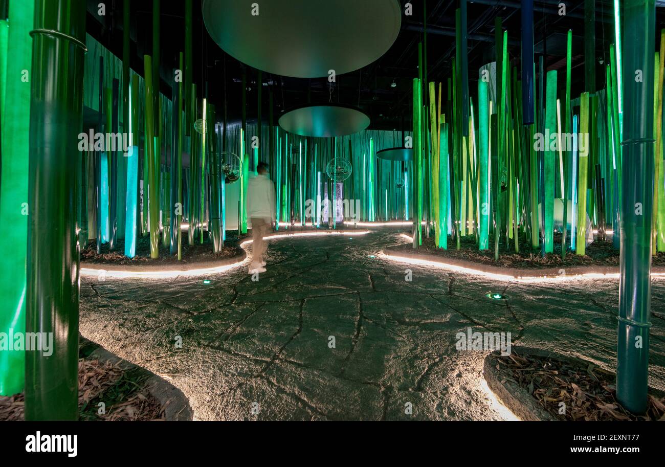 An interactive giant panda-themed museum, the first of its kind in the ...