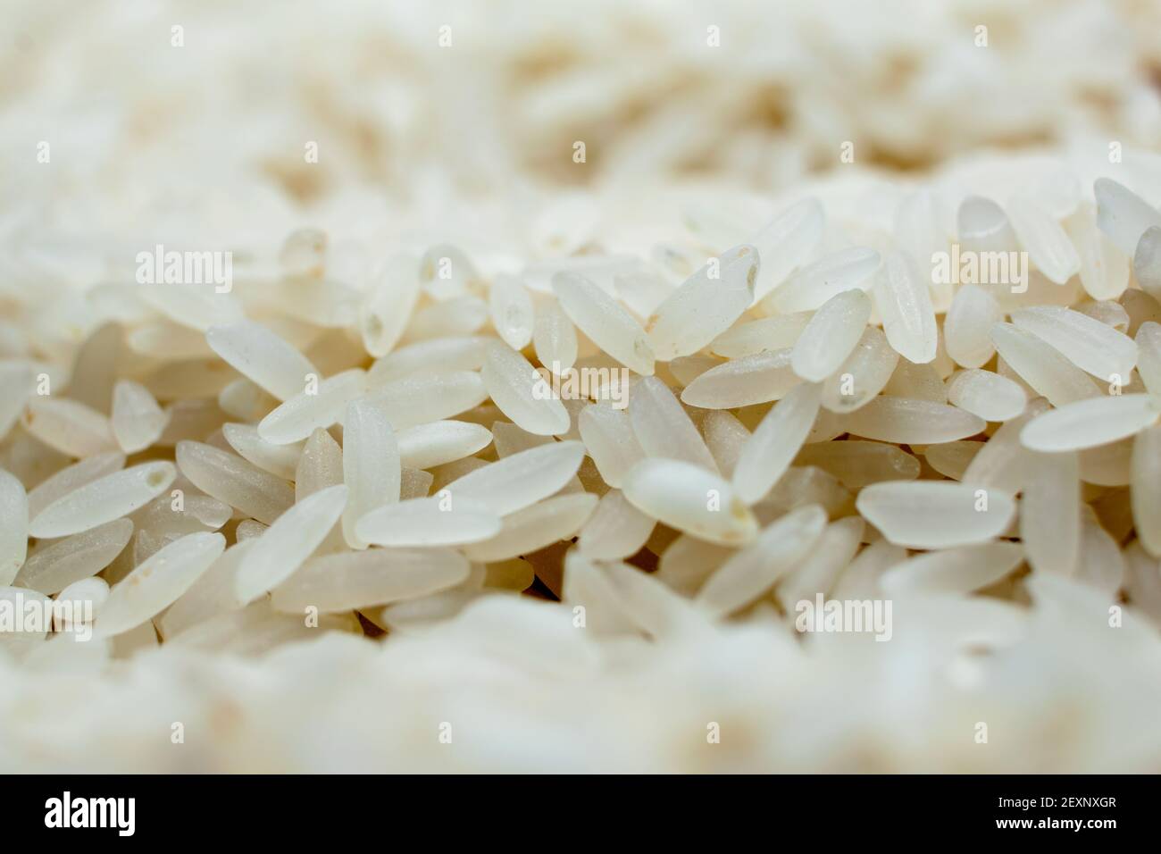 Indian threshed rice hi-res stock photography and images - Alamy