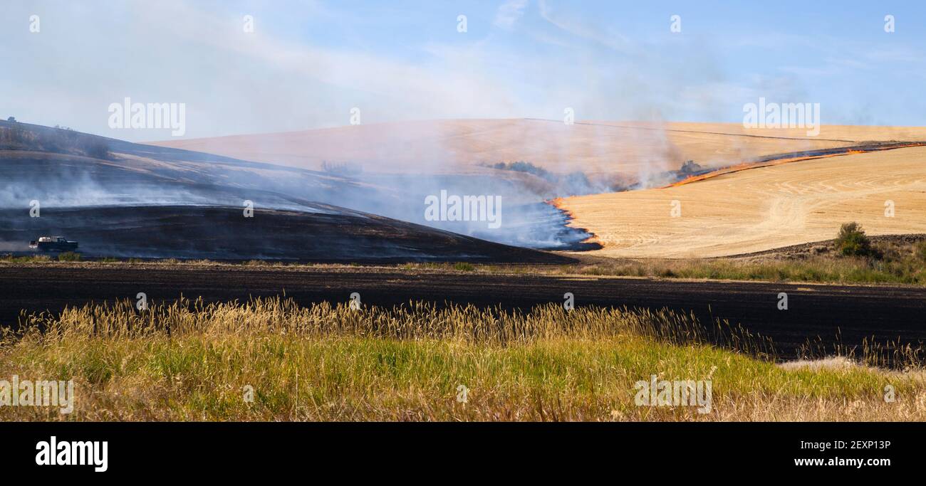 Agricultural Farmers Burn Plant Stalks After Food Harvest Fire Stock ...