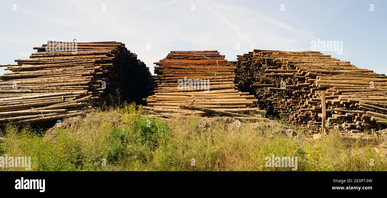 Logging plant hi-res stock photography and images - Alamy