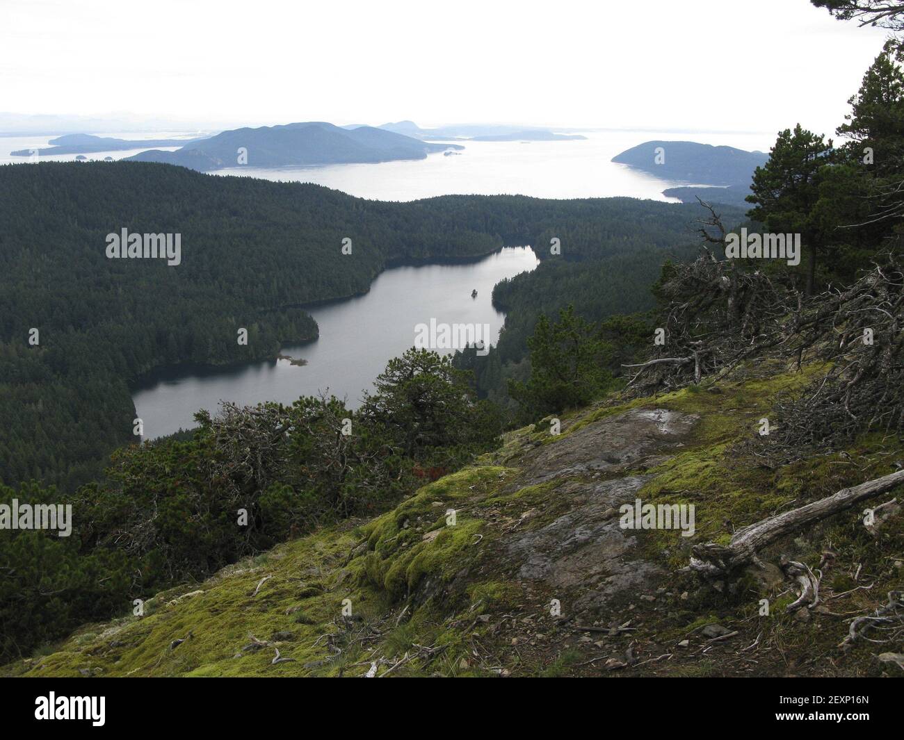 The hike up Washington's Mount Consititution offers a gorgeous view of ...