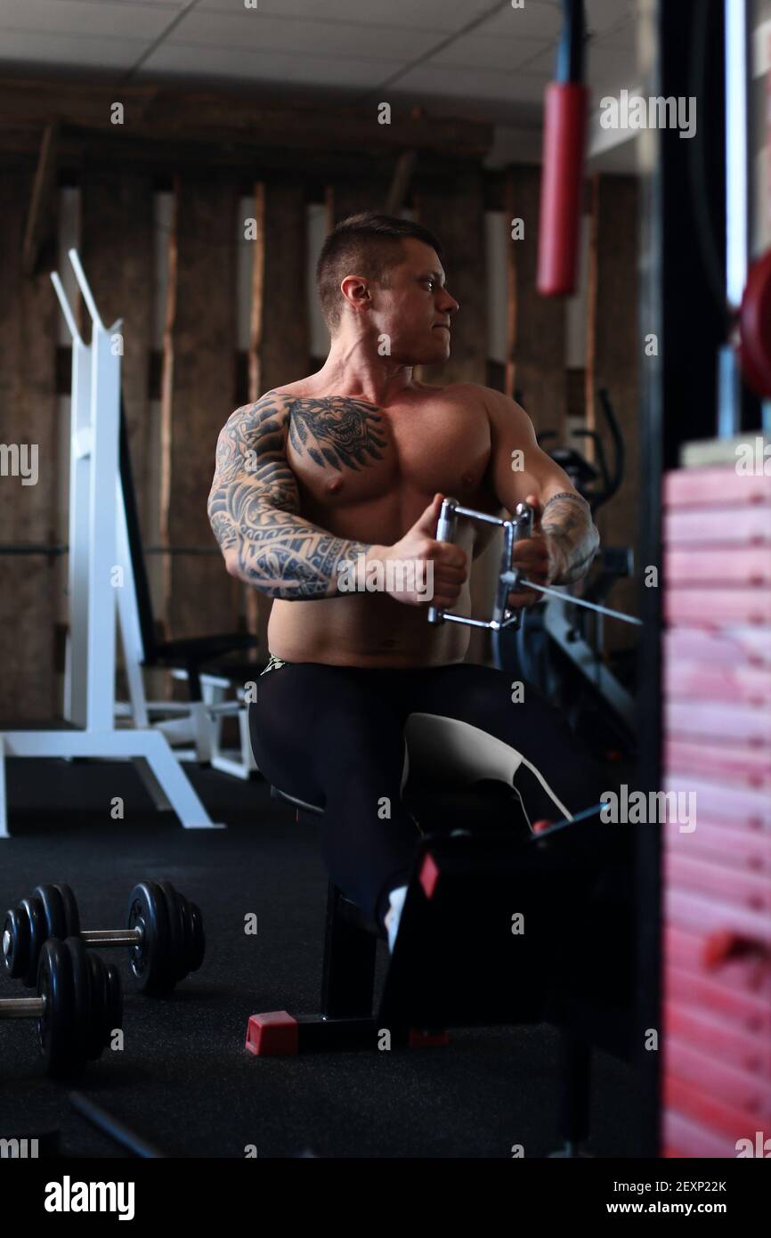 bodybuilder performing exercises on a simulator in the gym Stock Photo ...