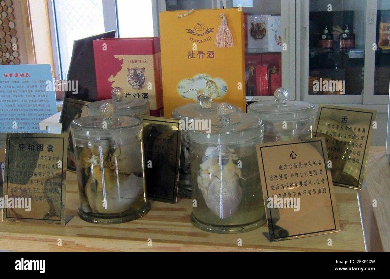 A display of tiger organs (not for sale) and bone wine (for sale) is ...